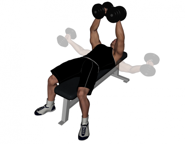 Borstspieroefeningen | Spieren Kweken